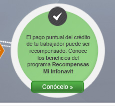 Patrones domésticos Infonavit